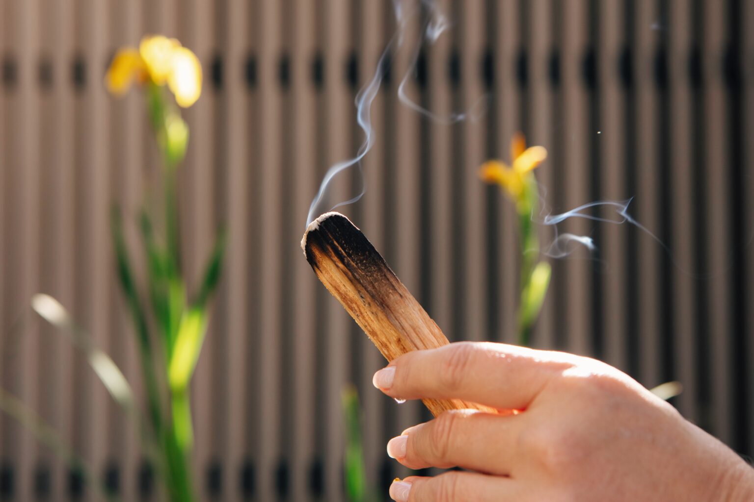 Qué son los sahumerios y cuáles son sus beneficios - Spa One&Only